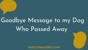80 Rest In Peace Tribute and Goodbye Message to My Dog Who Passed Away ...