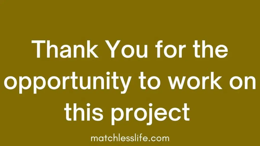 60 Ways to Say Thank You for Your Positive Feedback to Customers/Clients - matchlesslife.com